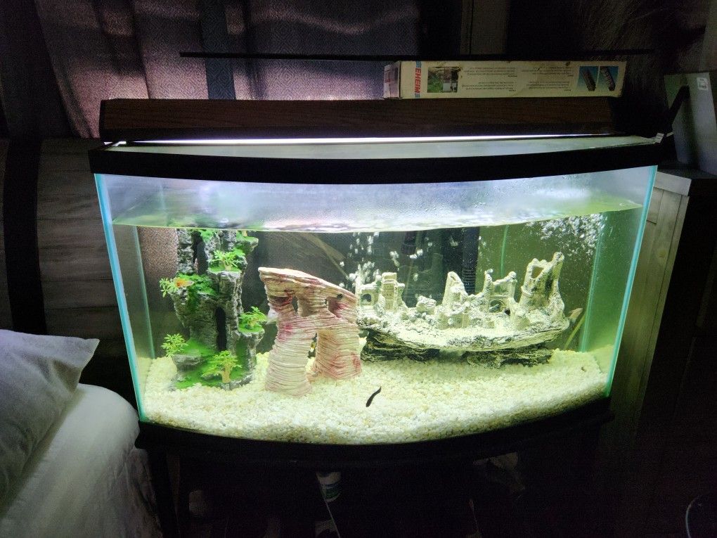 40 Galion Fish Tank for Sale in Hawthorne, CA - OfferUp