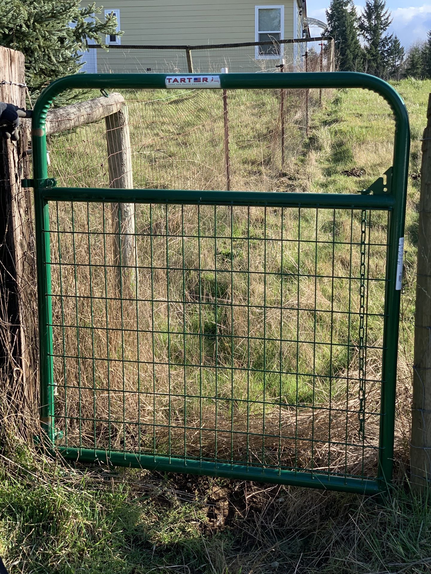 TARTER 4 ft. Wire Gate, 2 in. x 4 in. Grid Spacing, Green, WFGG4 for ...