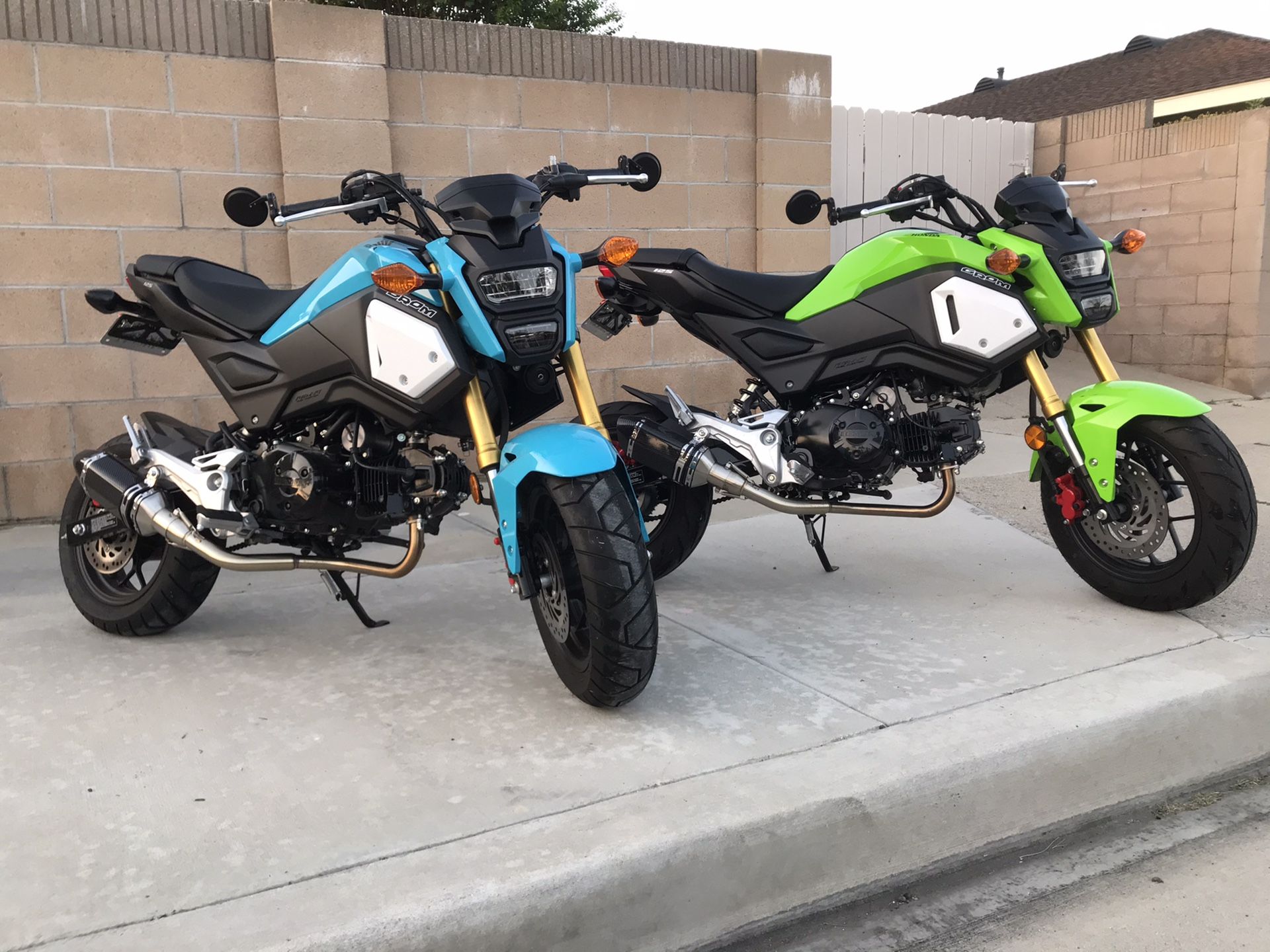 2019 Honda Grom (Blue Grom is sold, Green is available) for Sale in ...