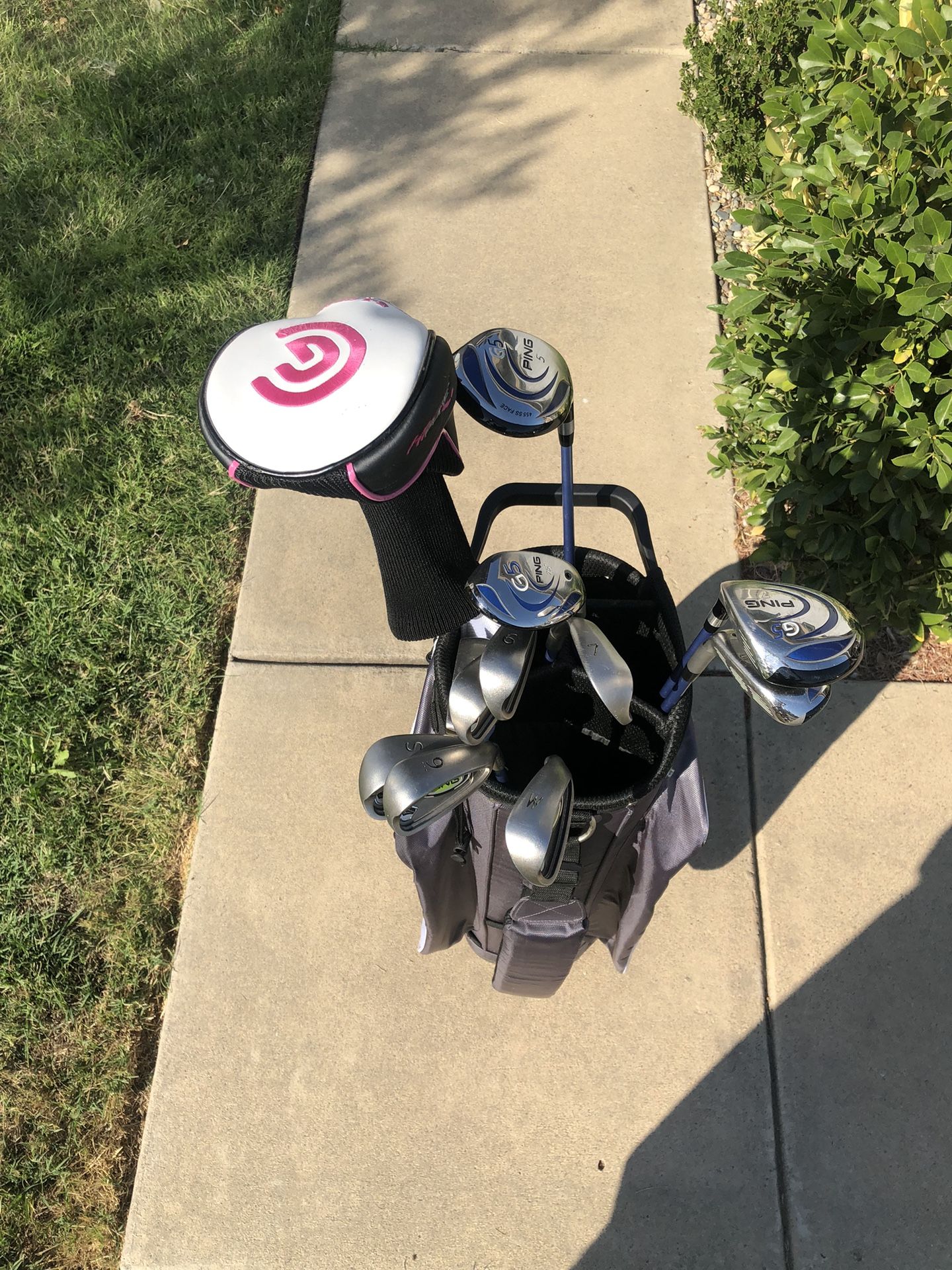 Ping Rapture for Sale in Elk Grove, CA - OfferUp