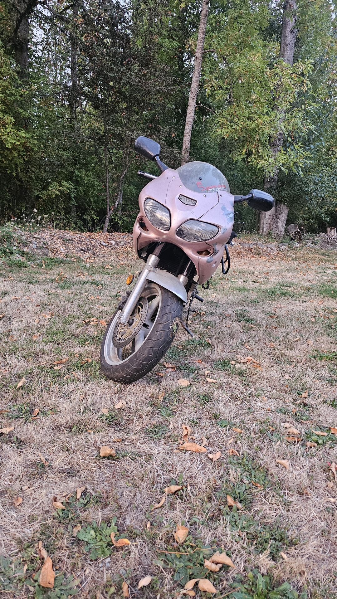 2002 Suzuki SV650S for Sale in Bonney Lake, WA - OfferUp