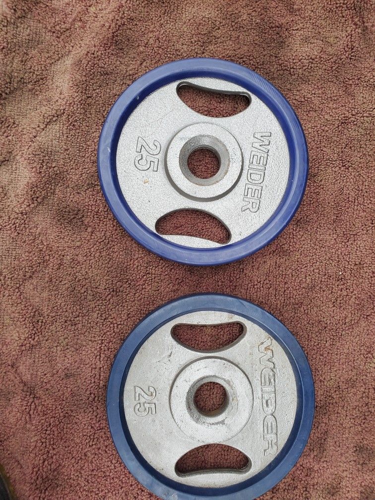 SET OF WEIDER AND GOLD'S GYM 2"HOLE 25s OLYMPIC PLATES TOTAL 50LBs ...