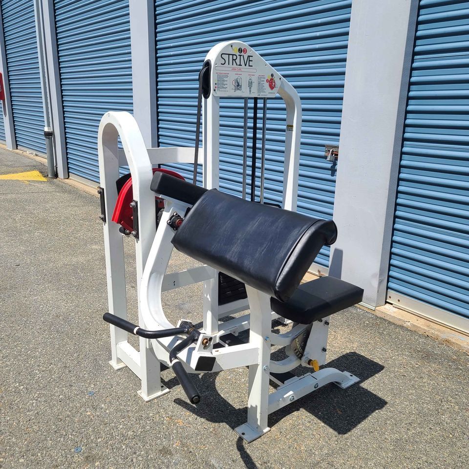 strive arm curl machine with 170lbs for Sale in Randolph, NJ - OfferUp