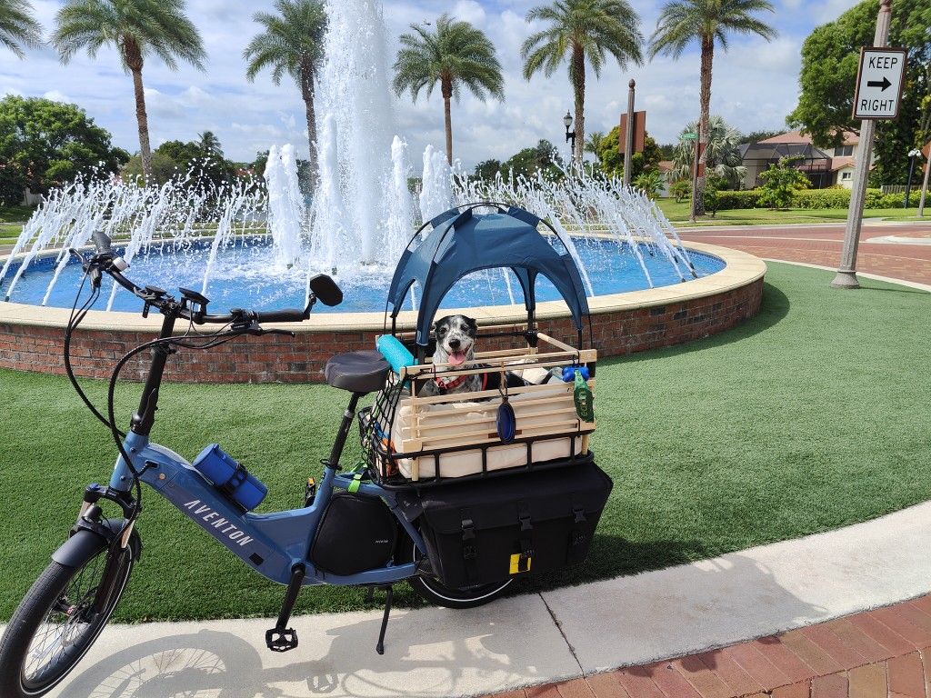 Fully loaded aventon abound cargo electric bike with speciality made ...