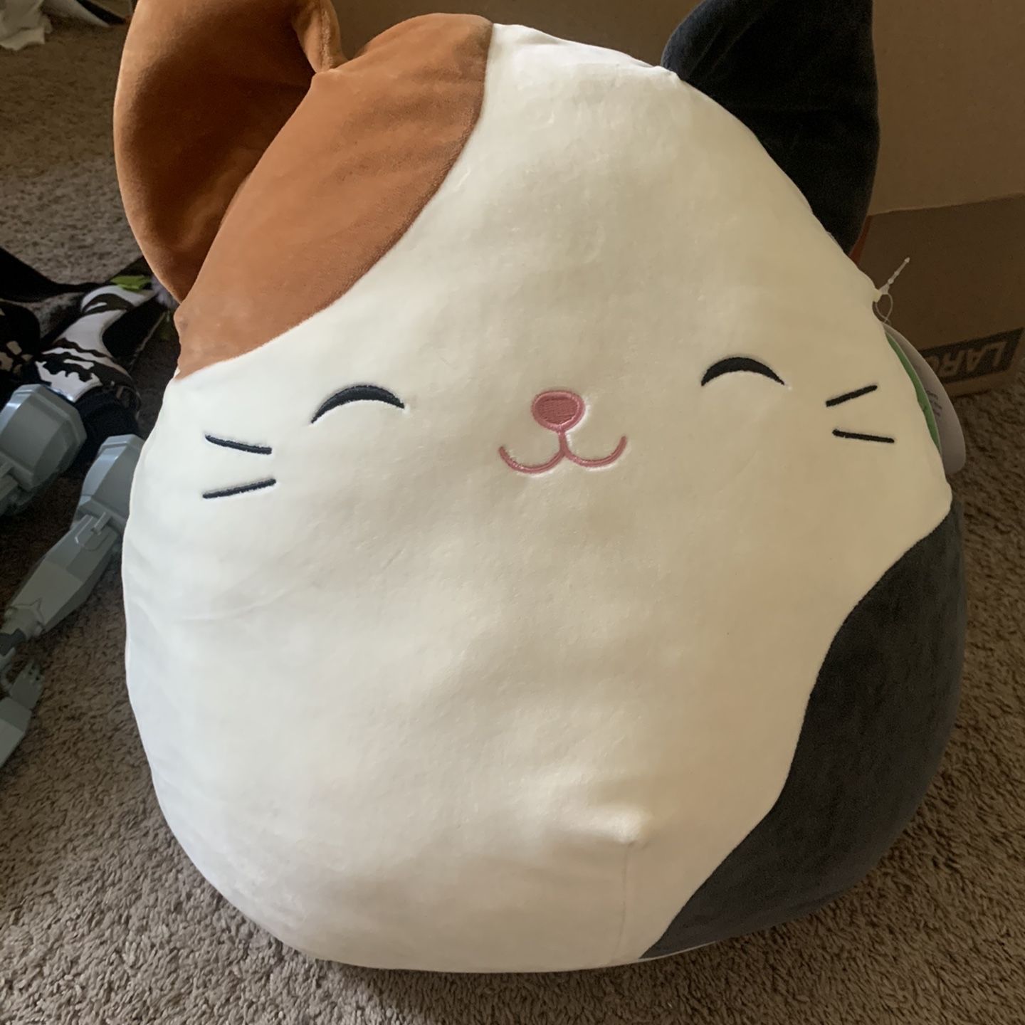 Squishmallow 16 Cameron The Cat Online Collection | www.egerton.ac.ke