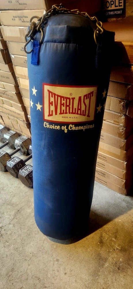 Blue Everlast Punching Bag