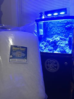 Biocube 16g Marine Salt Water Tank With Stand for Sale in Los Angeles ...