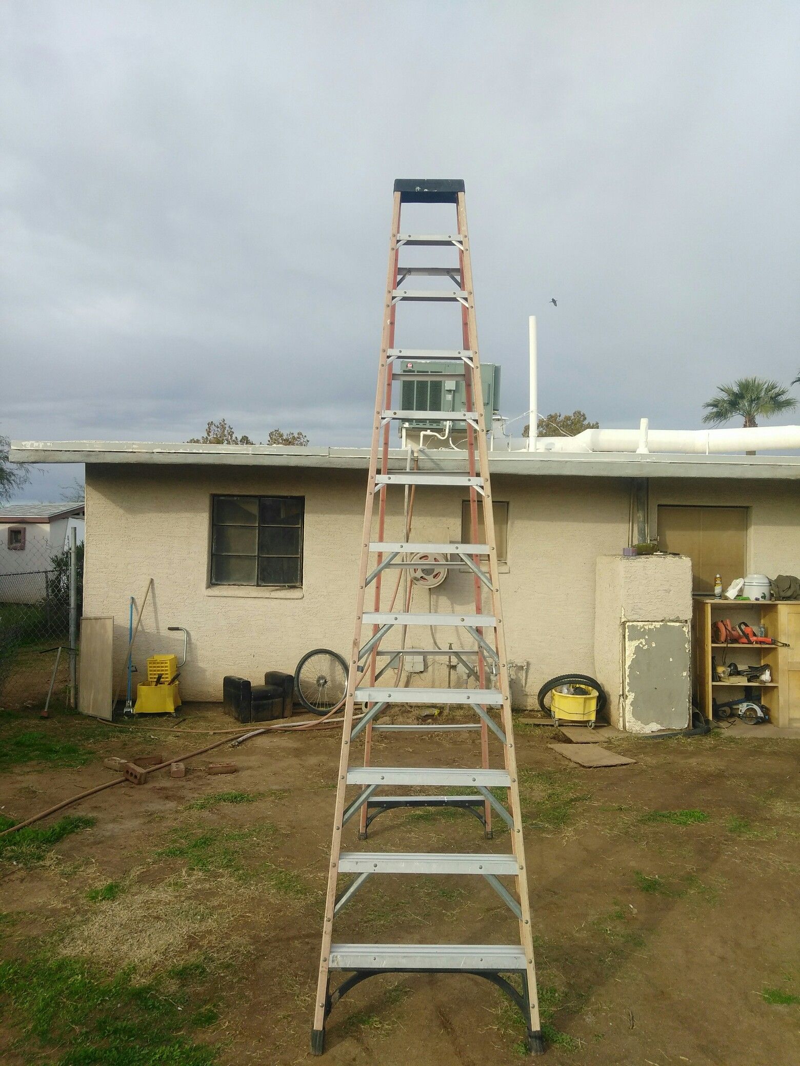 Husky 12 ft fiberglass step ladder for Sale in Phoenix, AZ - OfferUp