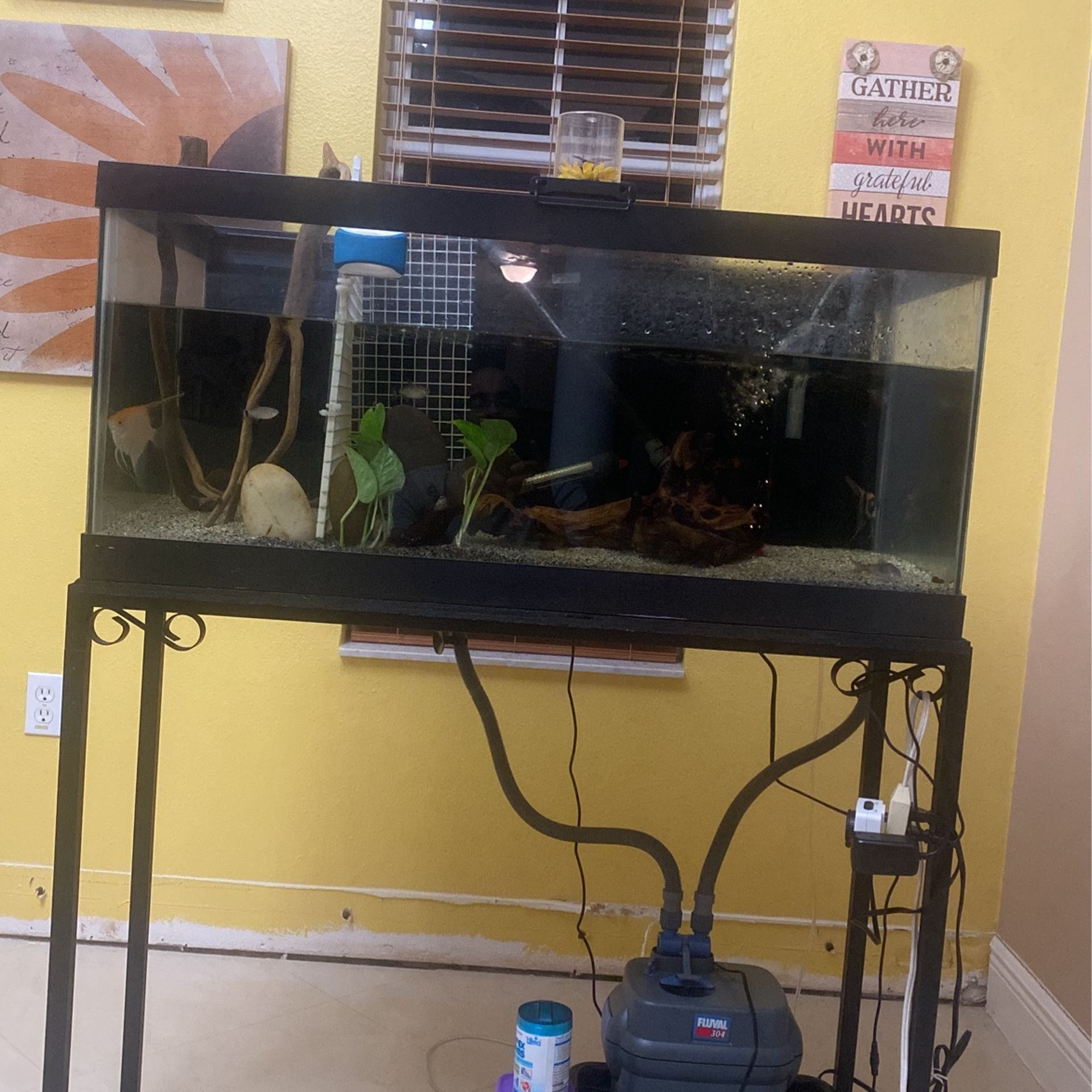Fish Tank for Sale in Kissimmee, FL - OfferUp