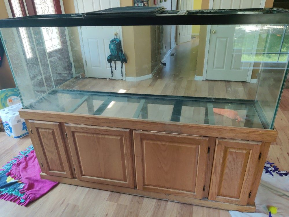 150 Gallon Fish Or Reptile Tank Aquarium Vivarium Enclosure for Sale in ...