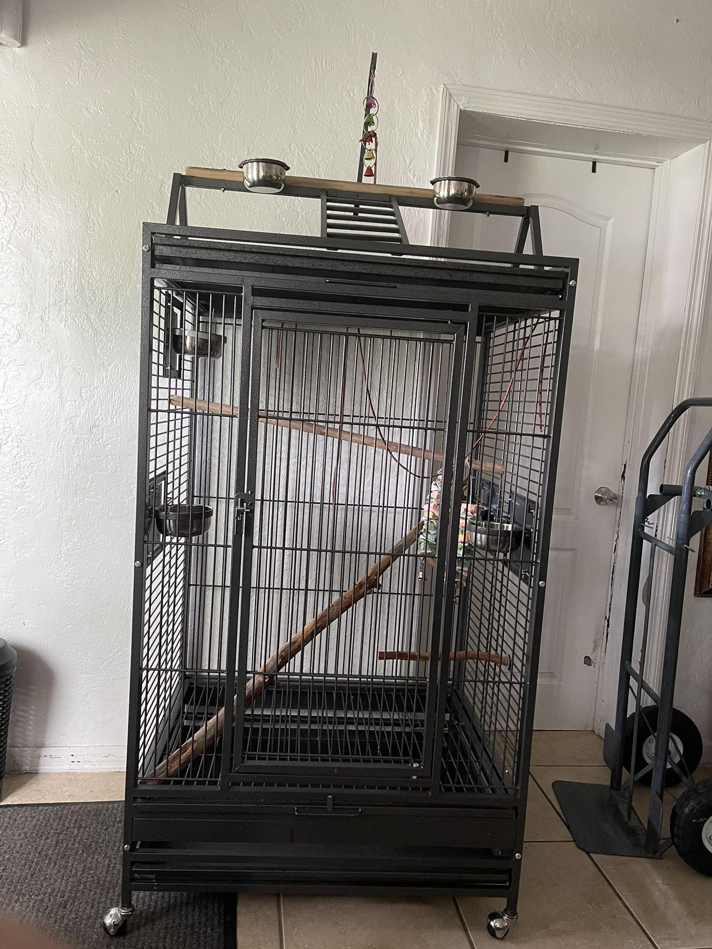 Cage Birds for Sale in Sanford, FL - OfferUp