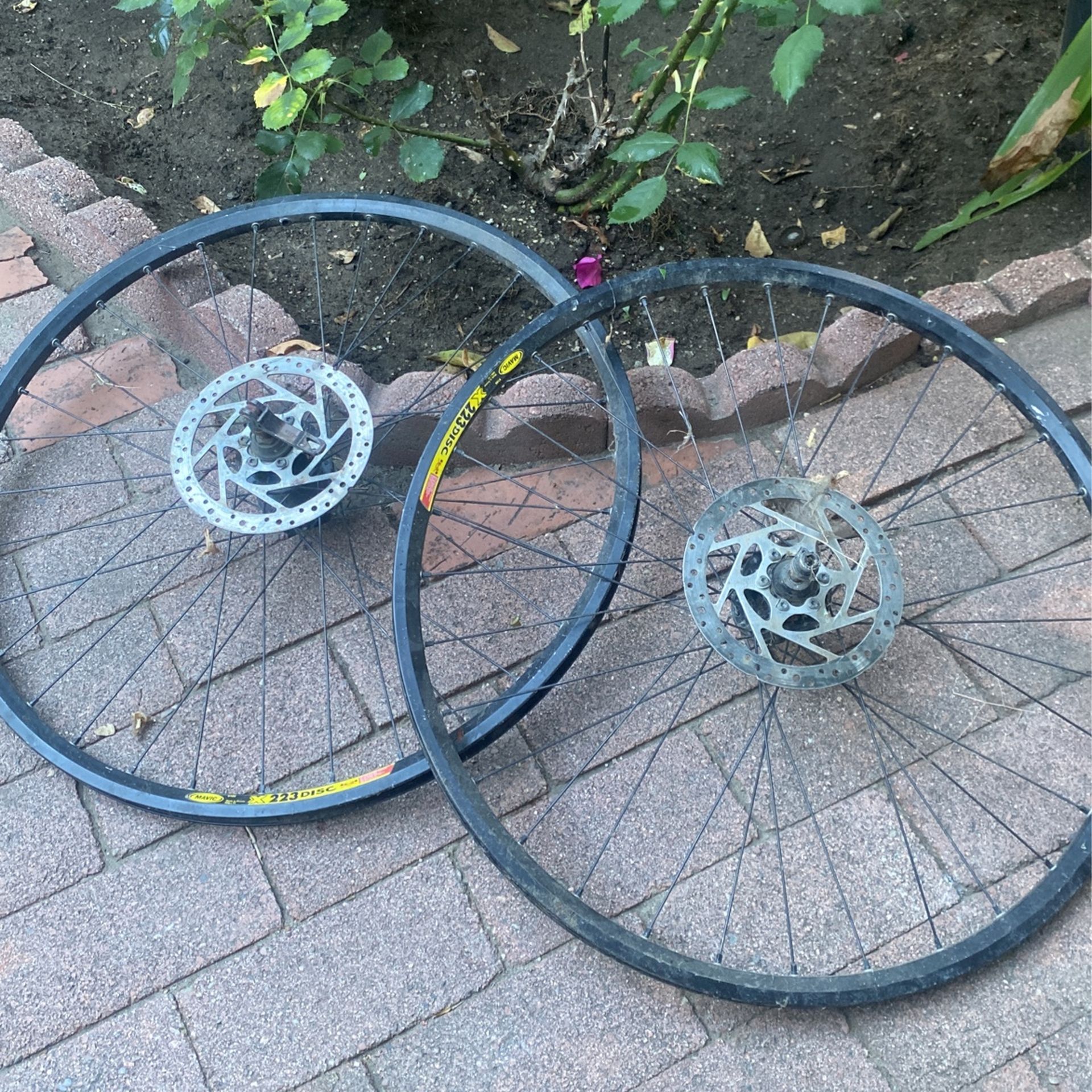 Front Wheel 559x17 Wheel Mavic 559x17 223 Disc Wheels Front And Rear No ...