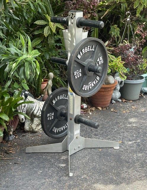 PAIR OF BLACK CAP 45 LB. OLYMPIC PLATES & HOIST WEIGHT TREE for Sale in ...