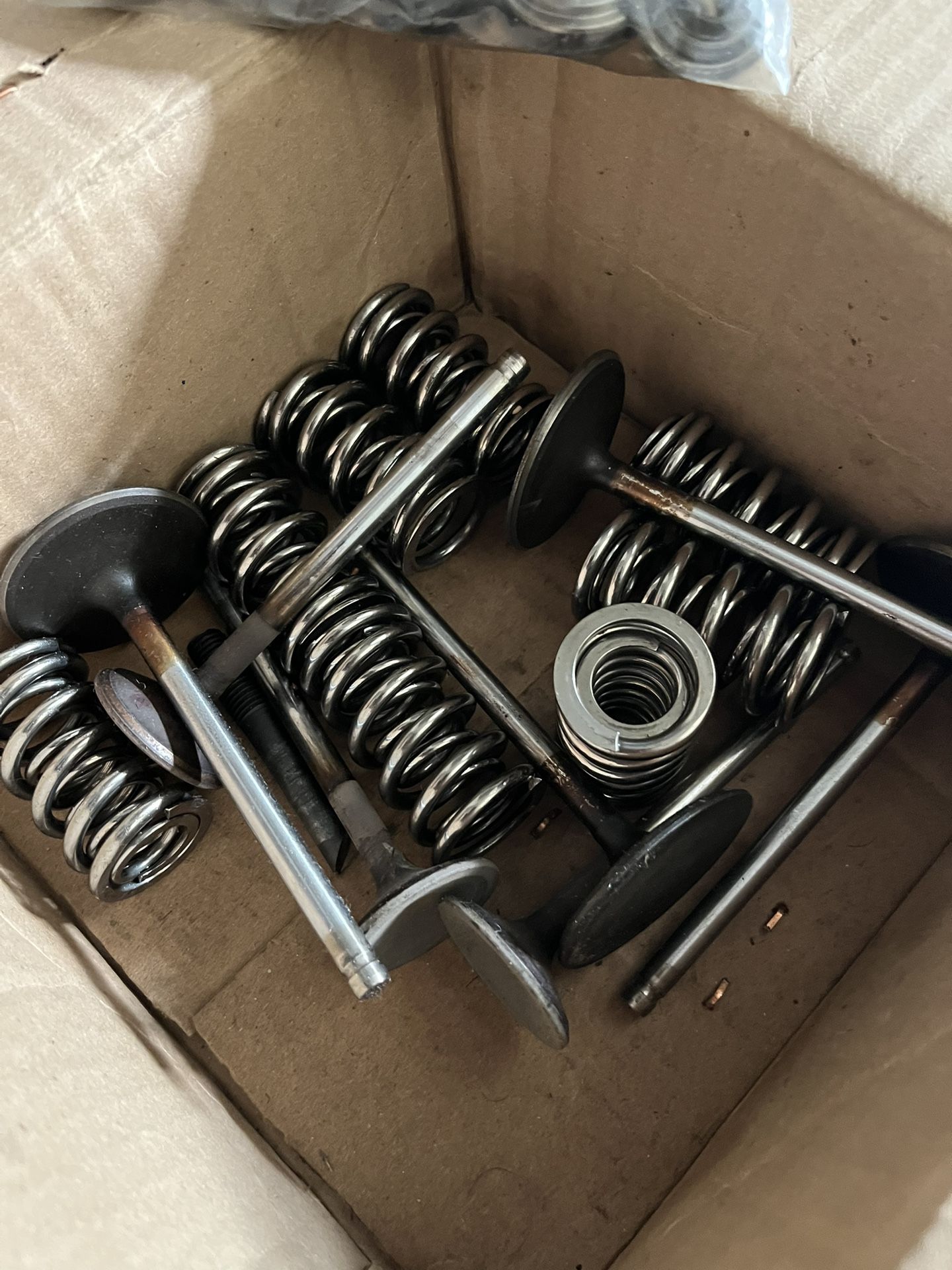 Ls Lsa Ls1 Ls2 Ls3 Valve Springs Titanium Spare Parts for Sale in Los ...