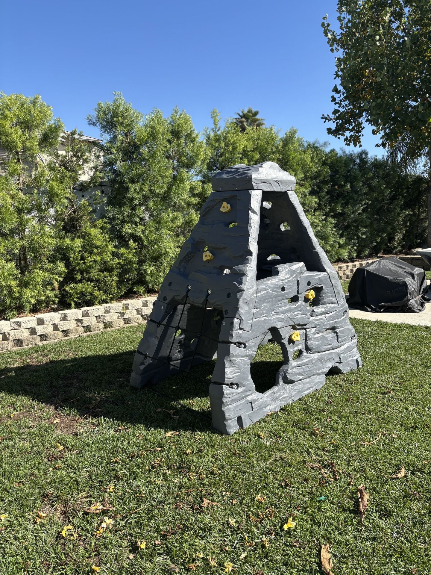 Step2 Skyward Summit Climbing Wall for Sale in Ontario, CA - OfferUp