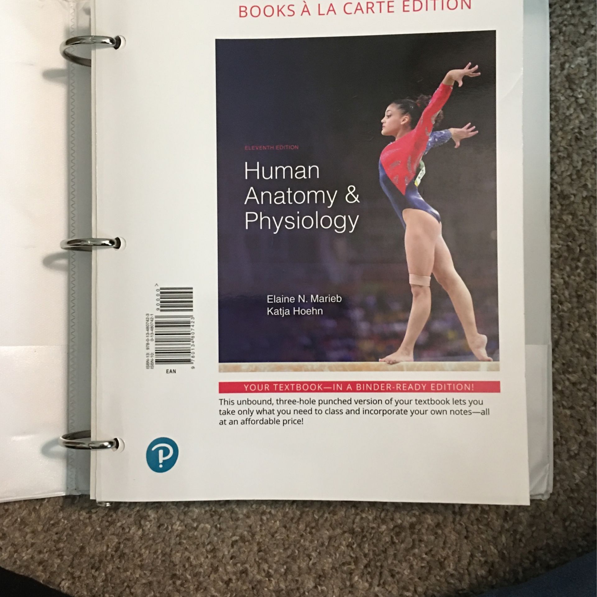 Anatomy And Physiology Textbook Pearson