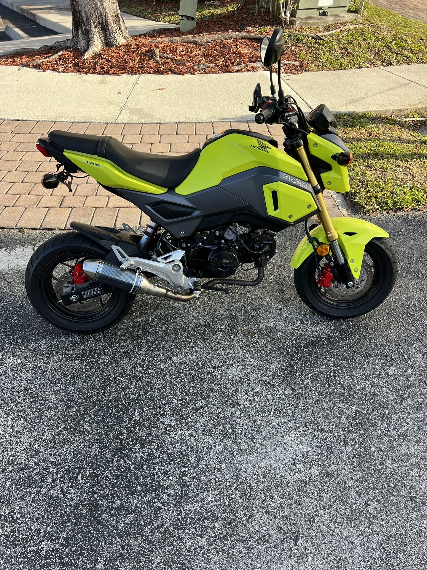 2018 Honda Grom Motorcycle for Sale in Miami, FL - OfferUp