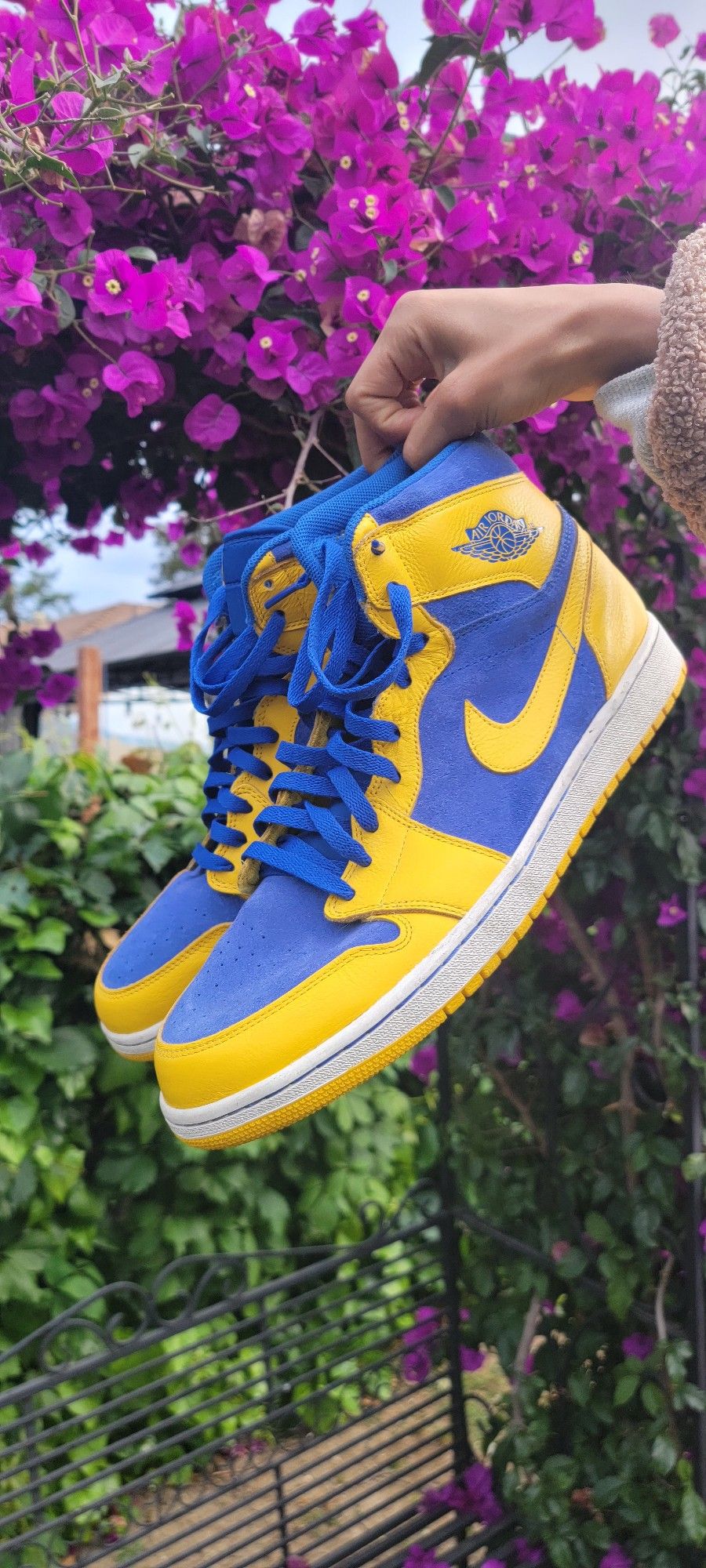 Laney 1