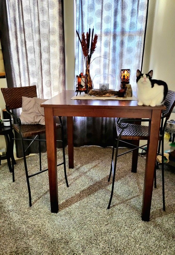 World Market Pub-Height Table for Sale in Phoenix, AZ - OfferUp