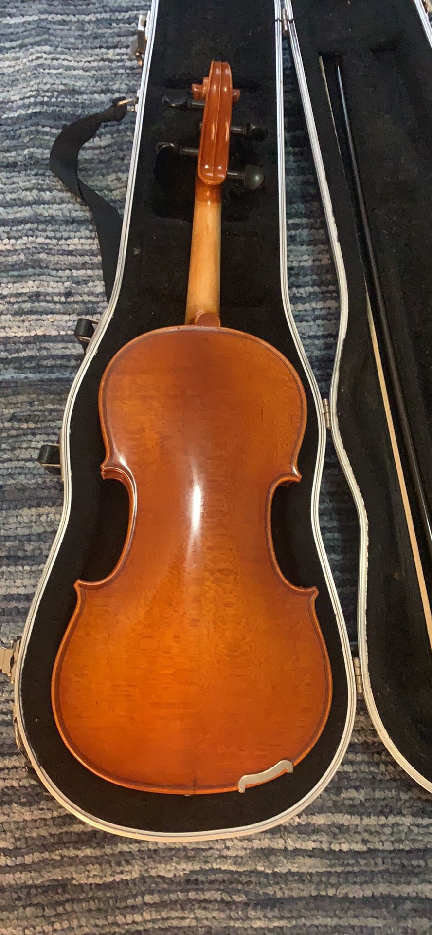 Eastman Strings Full Size Violin for Sale in Greenville, SC - OfferUp