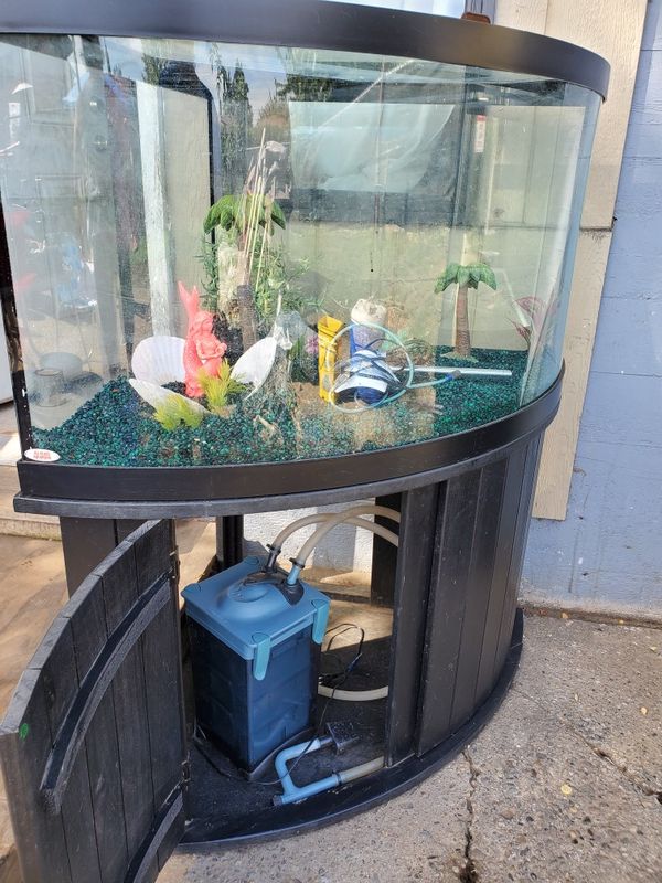 100 gallon corner fish aquarium for Sale in Tacoma, WA - OfferUp