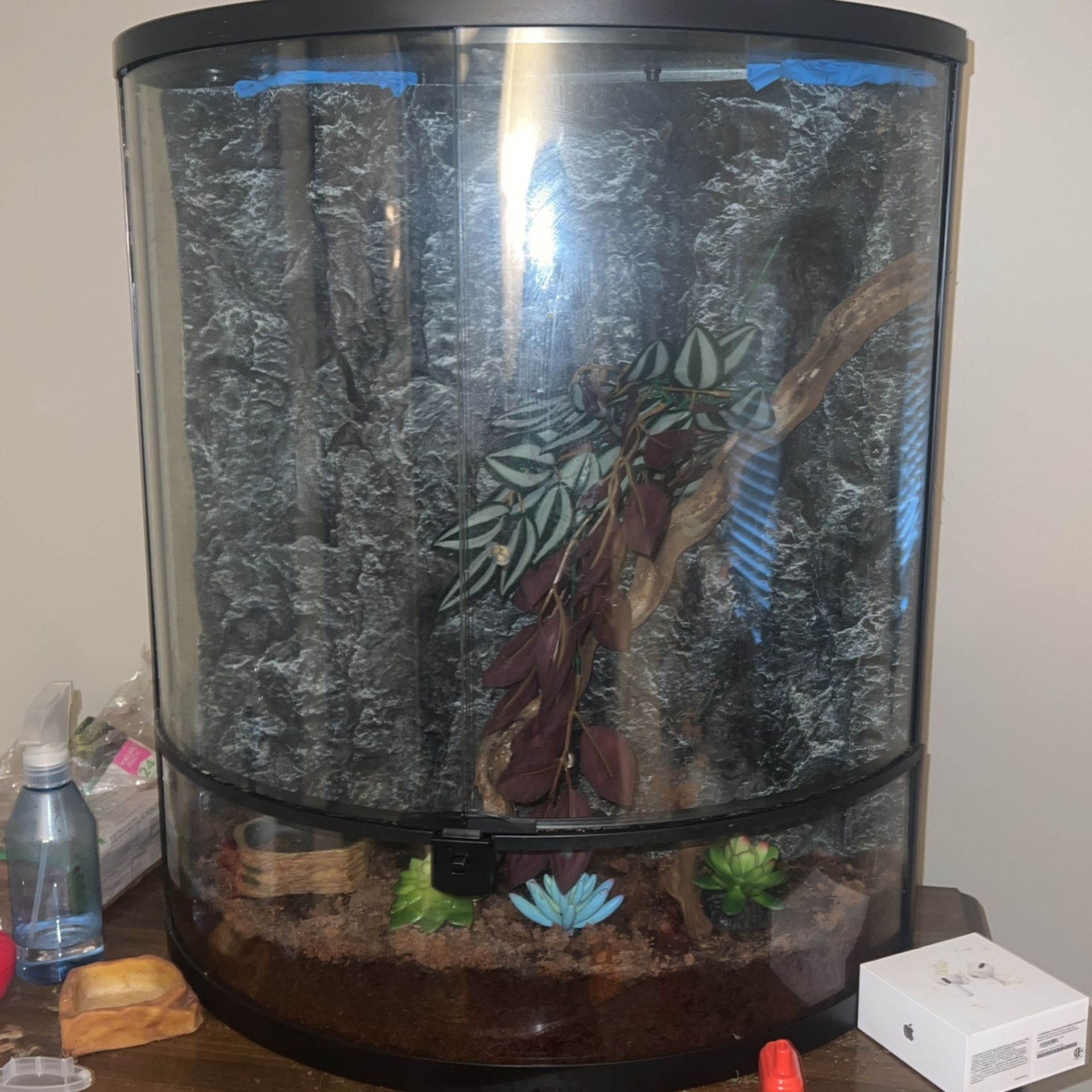 Thrive Tropical Reptile Vertical Crescent Terrarium - 20 Gallon for ...