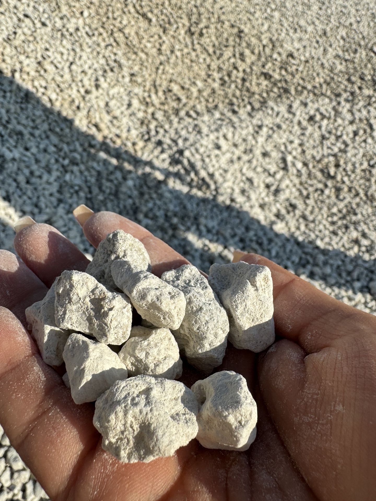 FREE Rocks – Must Pick Up ASAP for Sale in Carol City, FL - OfferUp