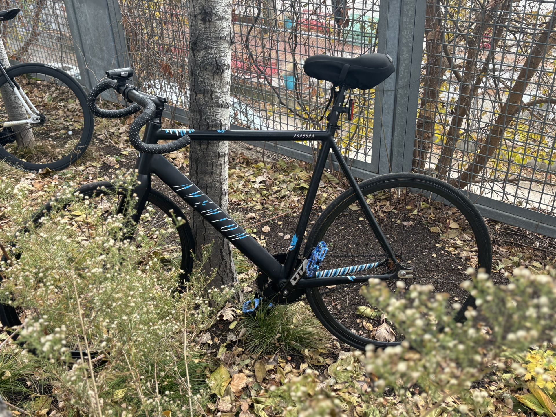 Aventon Cardoba Fixie Bike for Sale in Chicago, IL - OfferUp