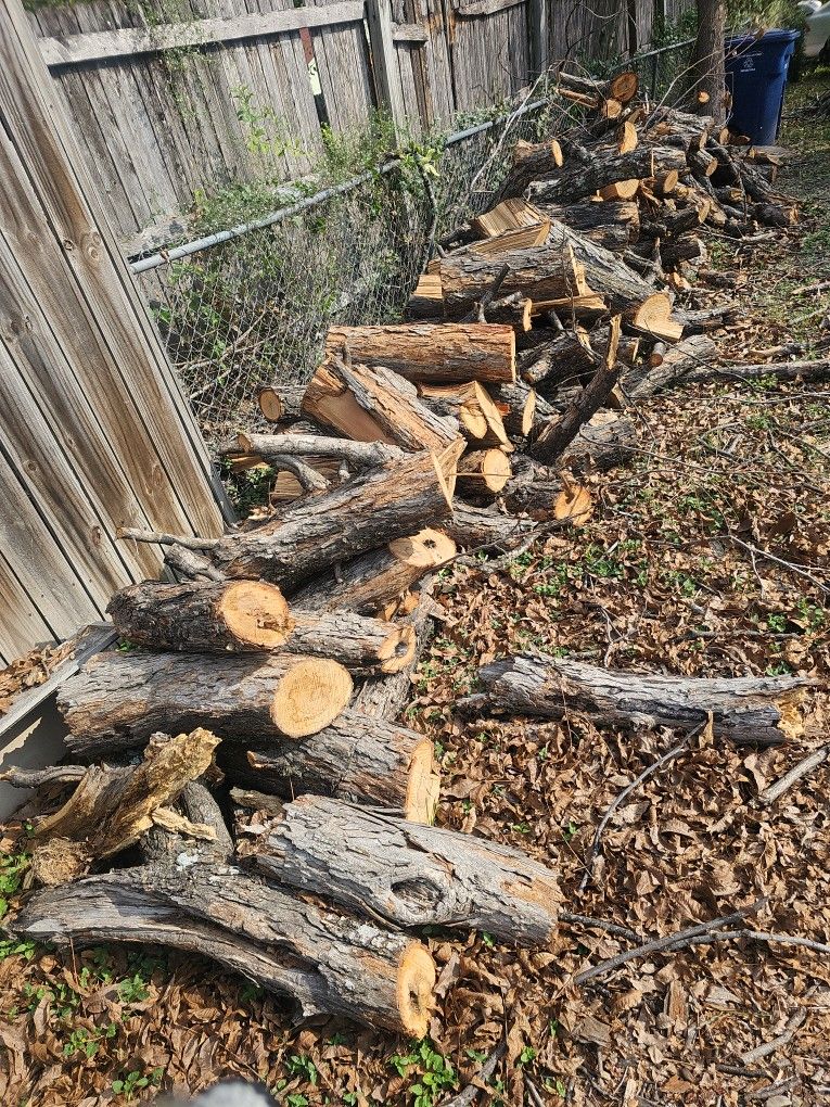Free Pecan Tree Little Logs for Sale in San Antonio, TX - OfferUp