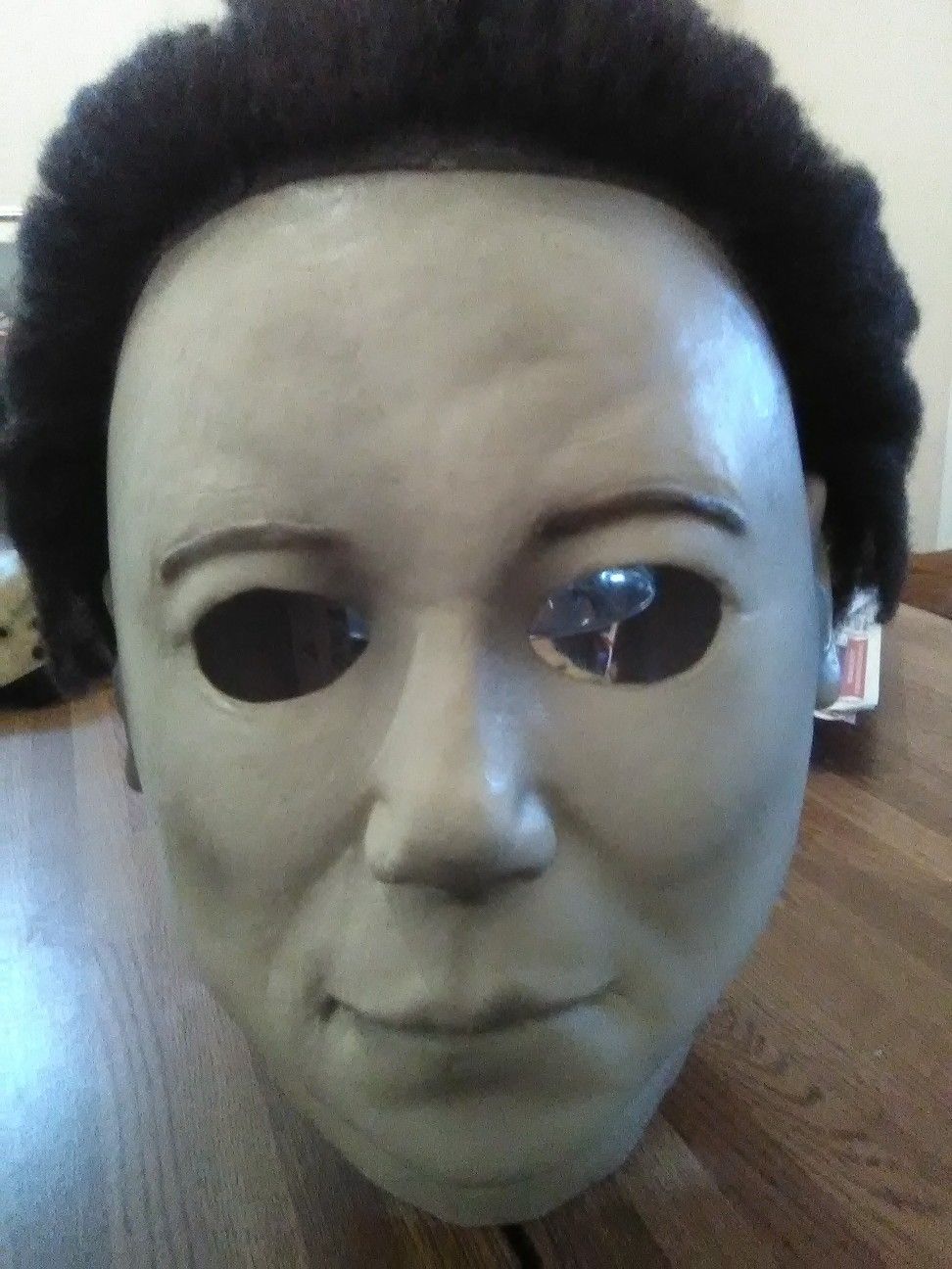 Halloween H20 Mask Trick Or Treat Studios