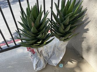 Pick Up Today As Soon As Possible for Sale in Corona, CA - OfferUp