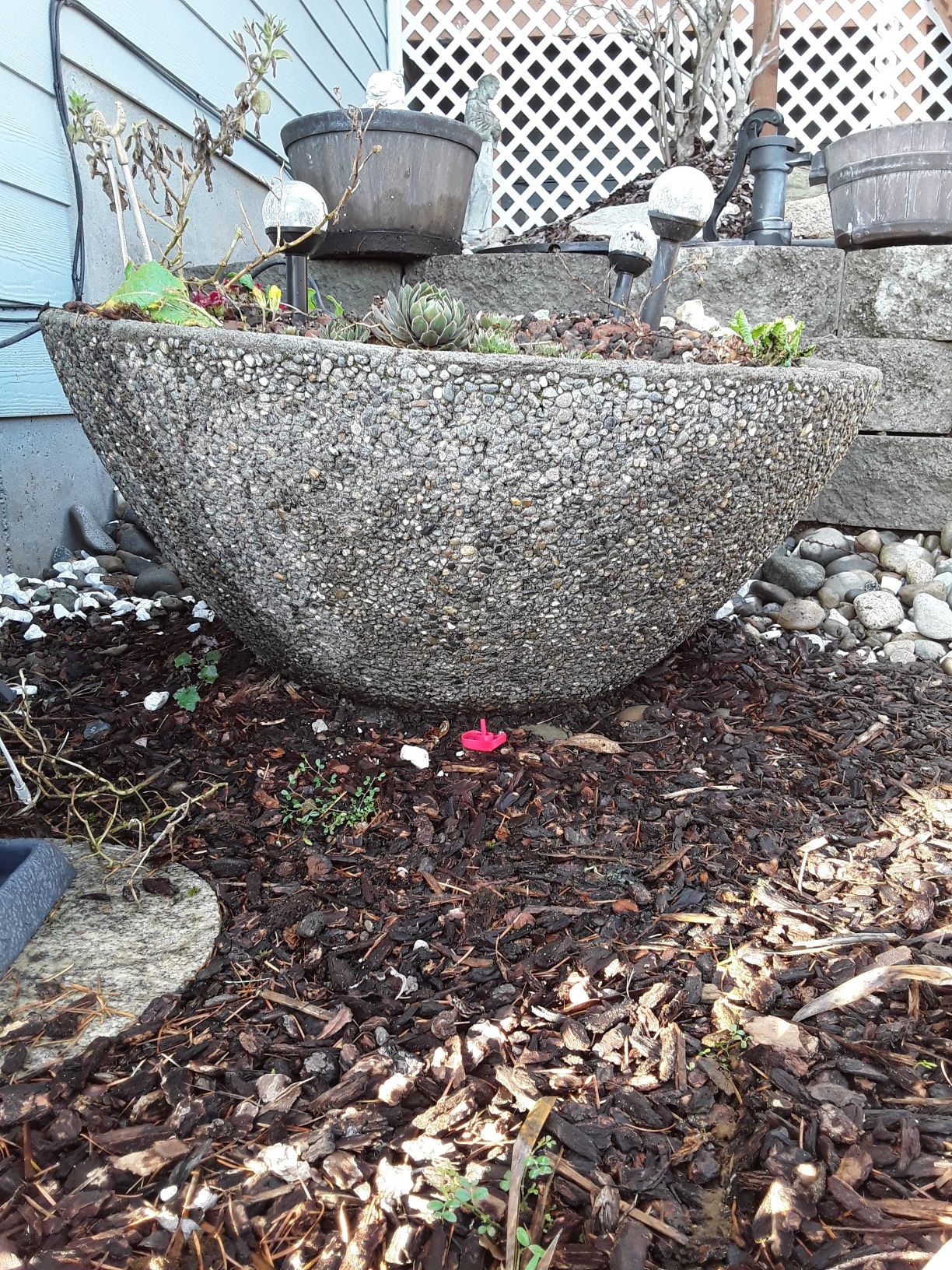 Round Large Saucer Concrete Exposed Aggregate Flower Pot for Sale in ...