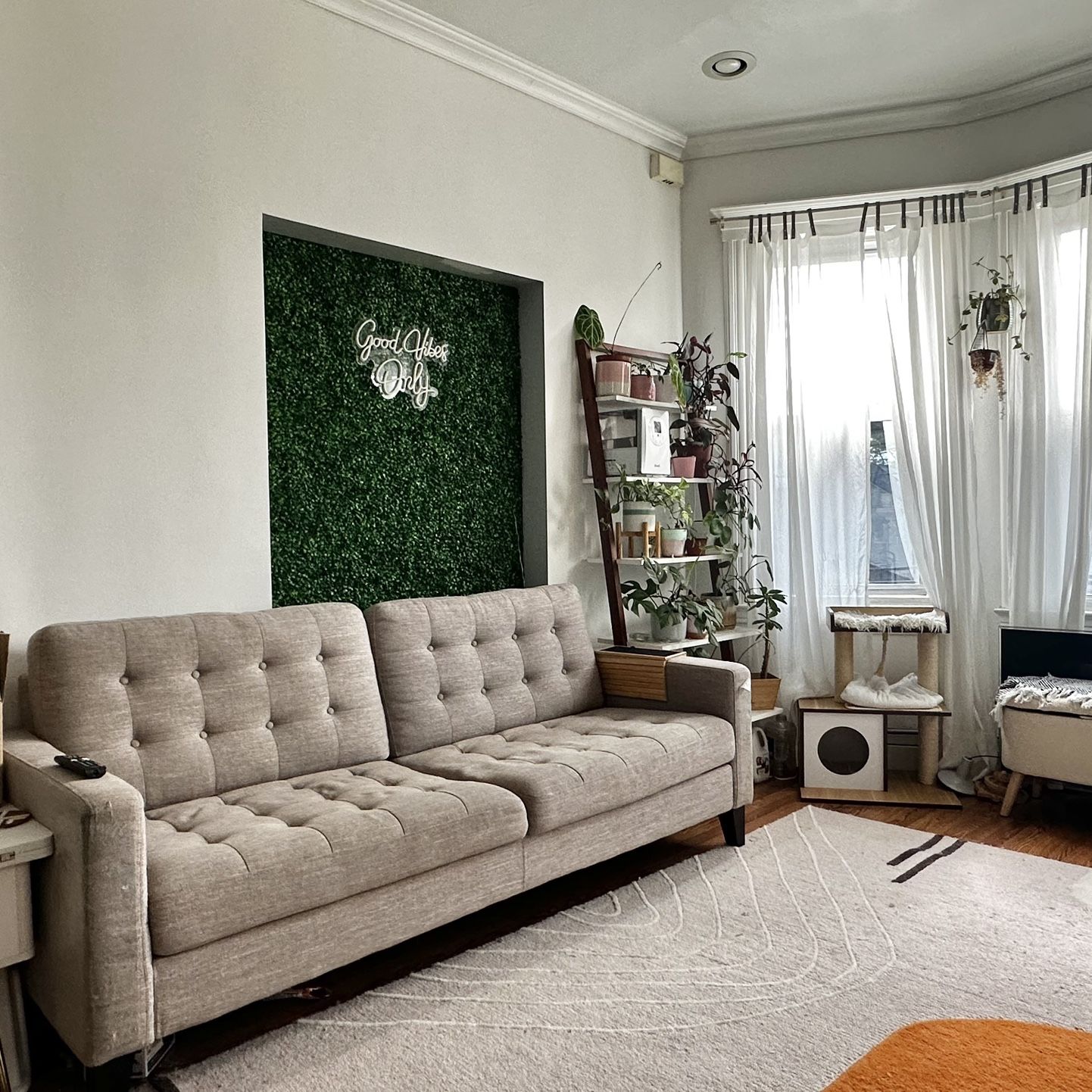 Pier 1 Sofa Bed | Baci Living Room