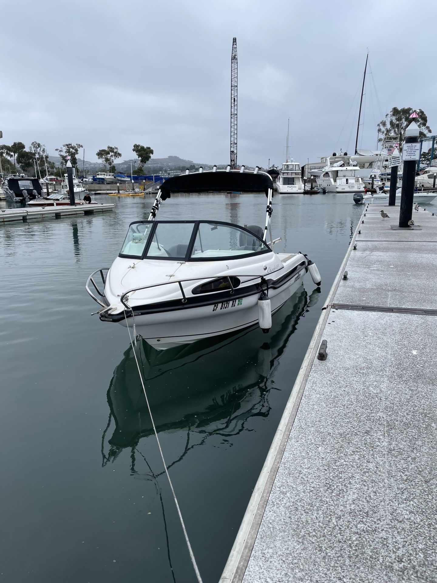 2019 Reflex 485 Boat Selling Now!!!!! for Sale in Mount Baldy, CA - OfferUp