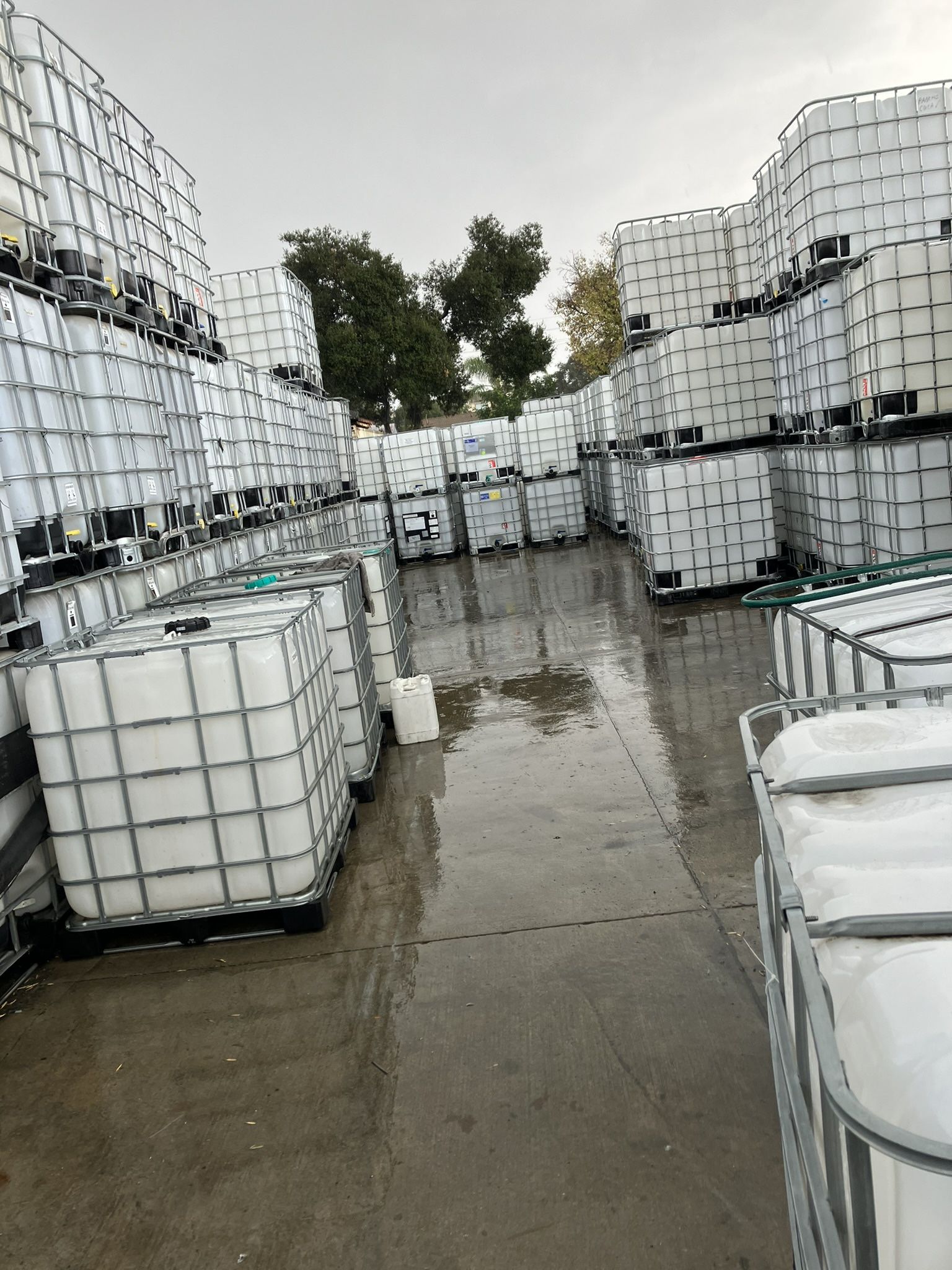 IBC Food Grade Totes for Sale in Arrowhed Farm, CA - OfferUp