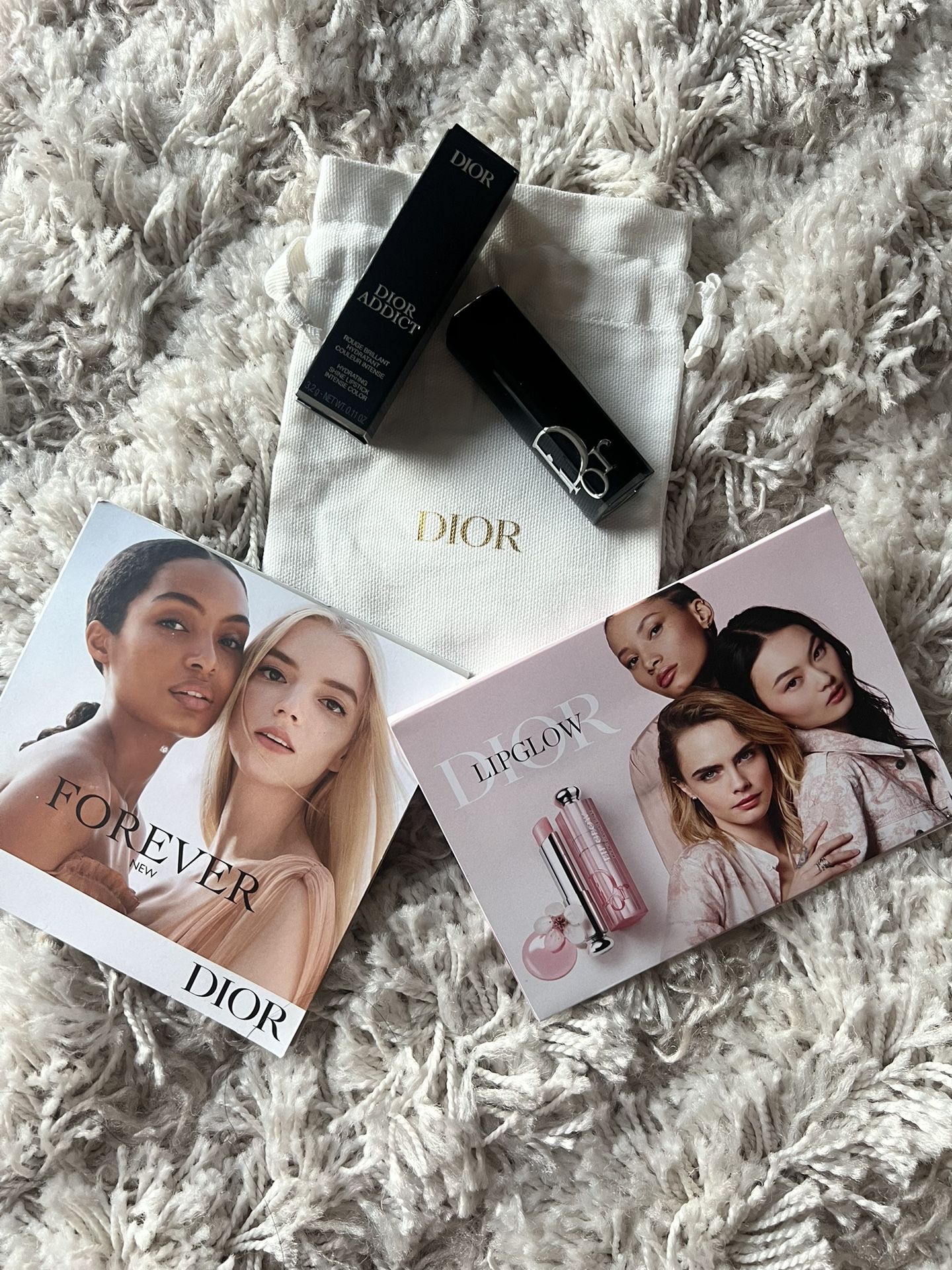 CHRISTIAN DIOR DIOR ADDICT FASHION LIPSTICK CASE black with pouch Gift ...