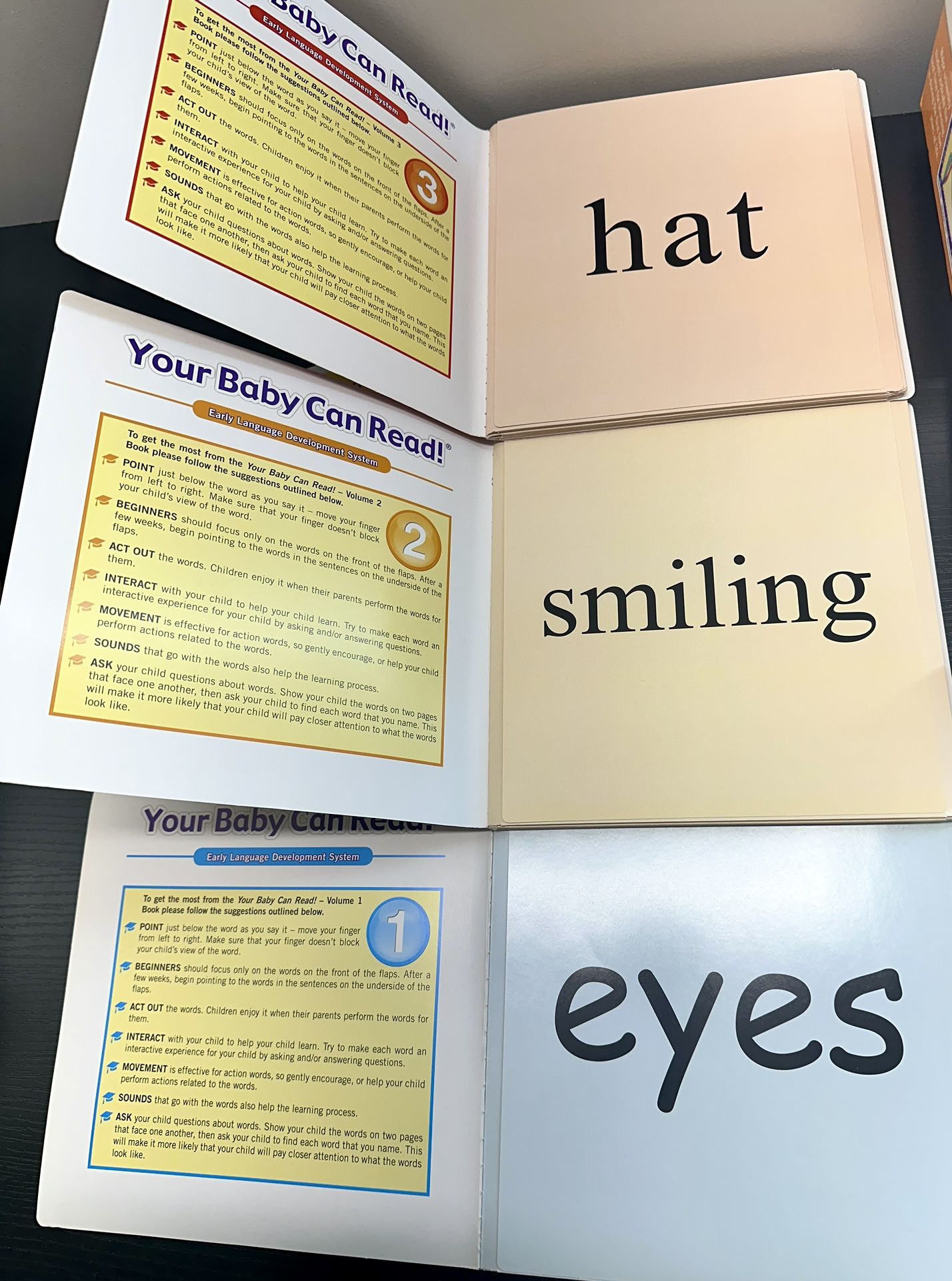 YOUR BABY CAN READ EARLY LANGUAGE INTERACTIVE DEVELOPMENT SYSTEM 3 mos ...