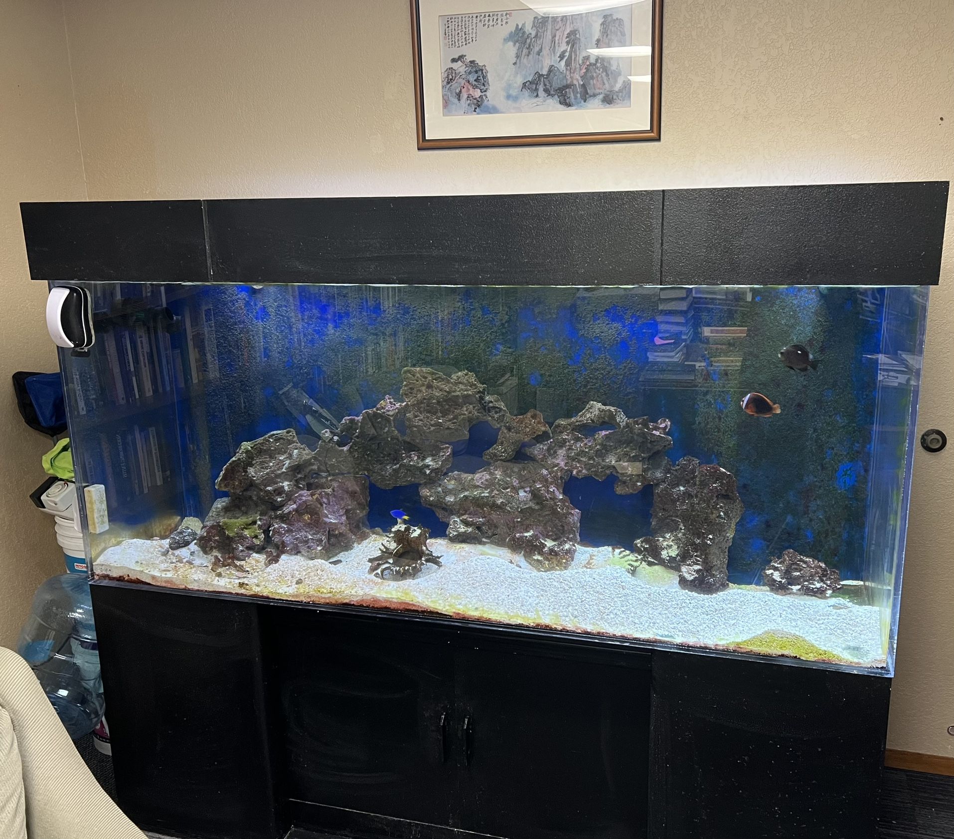 220 Gallon Fish Tank for Sale in Seattle, WA - OfferUp