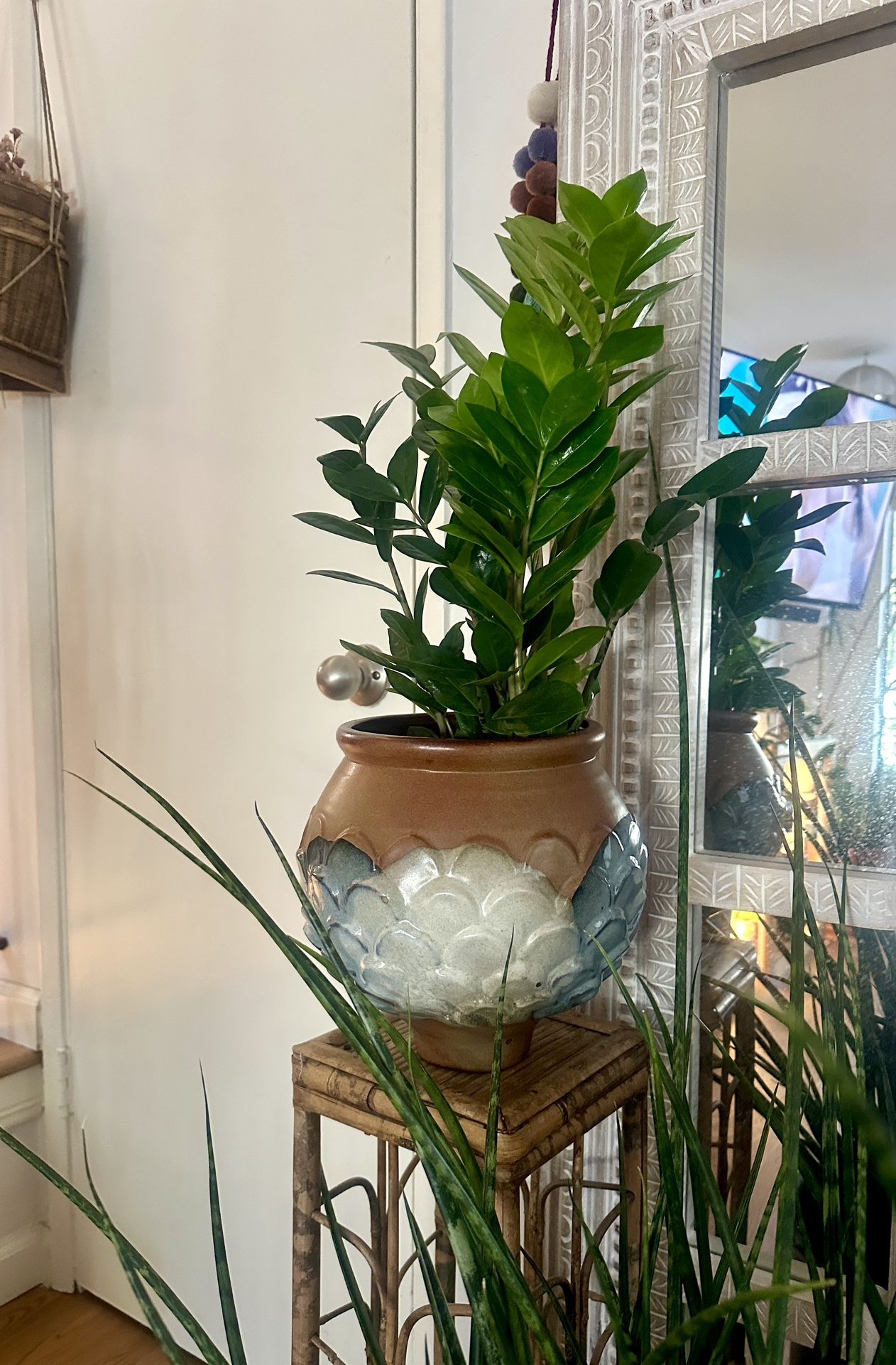 Large Healthy ZZ plant WITH Unique 10” tall Planter Pot for Sale in ...