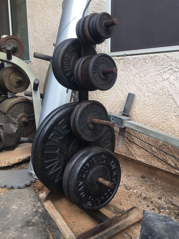 397 Lbs Dan Lurie Brooklyn NY 1 Standard Weights For Sale In Avondale 397-lbs-dan-lurie-brooklyn-ny-1-standard-weights-for-sale-in-avondale