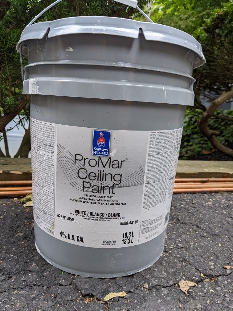 Promar Ceiling Paint Reviews | Shelly Lighting