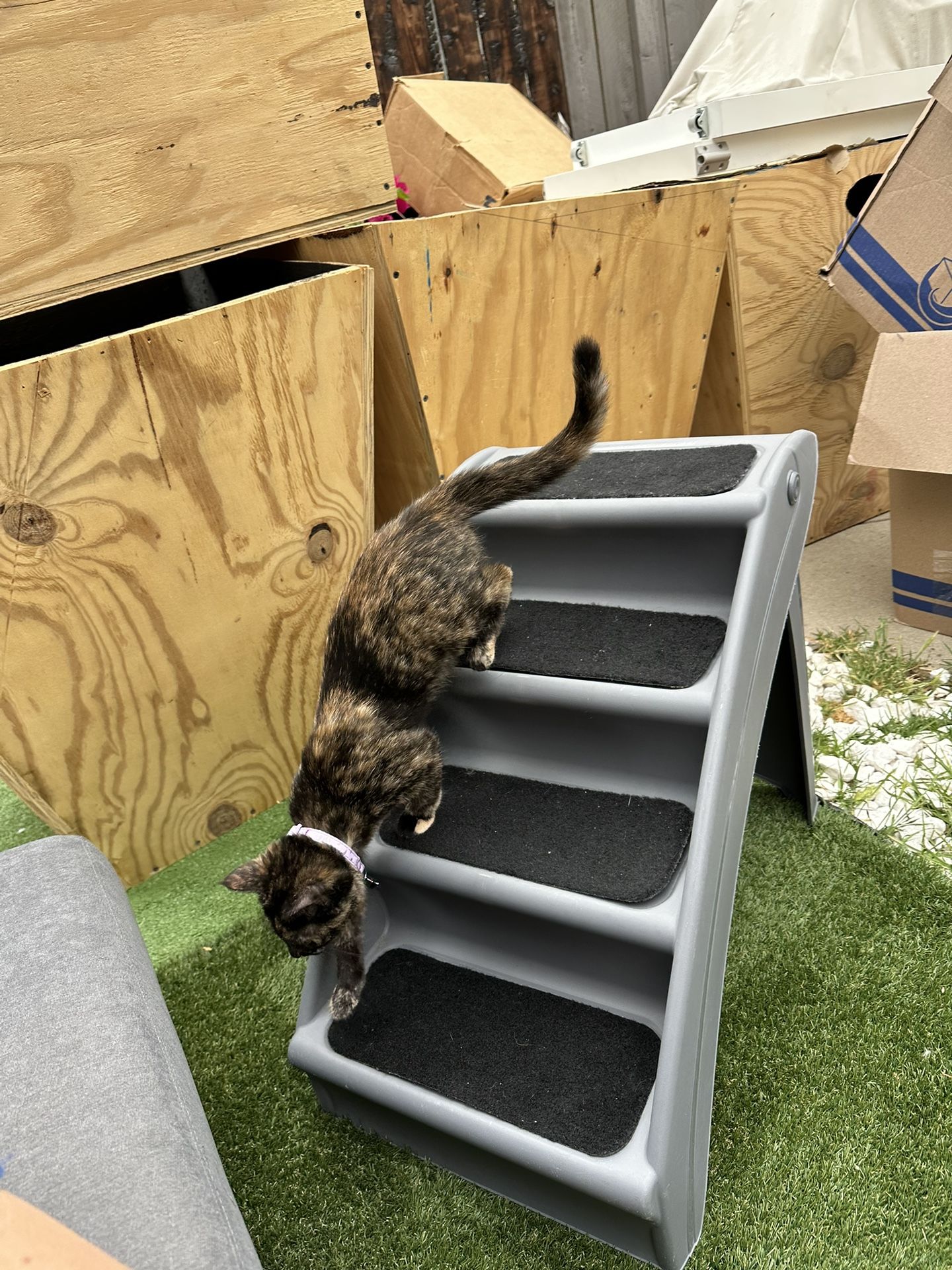 FOLDABLE PET STAIRS for Sale in Los Angeles, CA - OfferUp