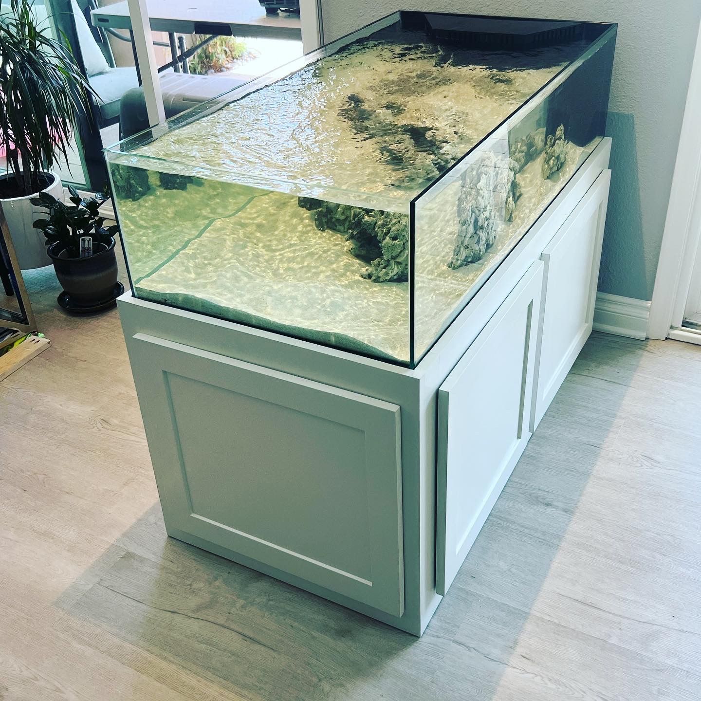 Built In Saltwater Fish Tank