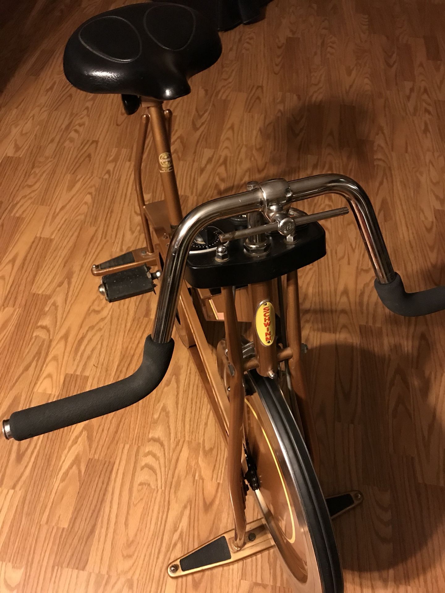 Sears Schwinn Recumbent Bike