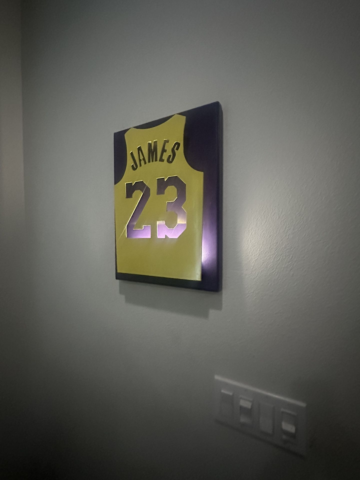 LeBron James for Sale in Pumpkin Center, CA - OfferUp