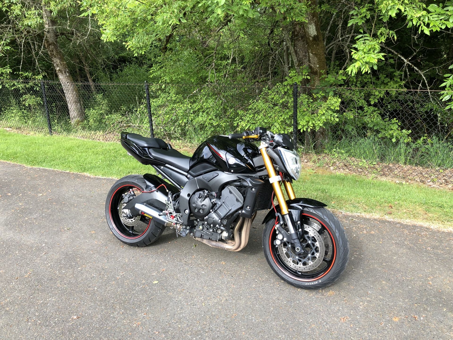 2007 Yamaha FZ1 Euro conversion FZ1N FZ-1 for Sale in Puyallup, WA ...