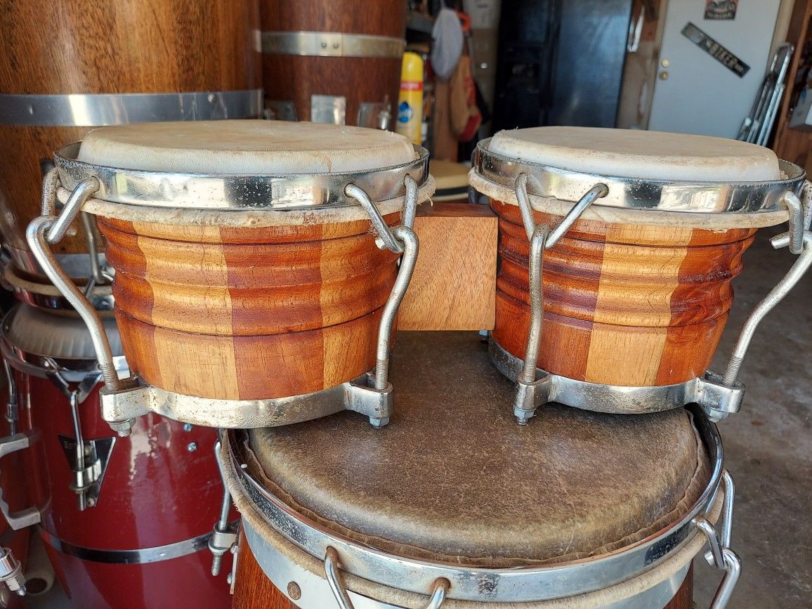 Cuban Bongos