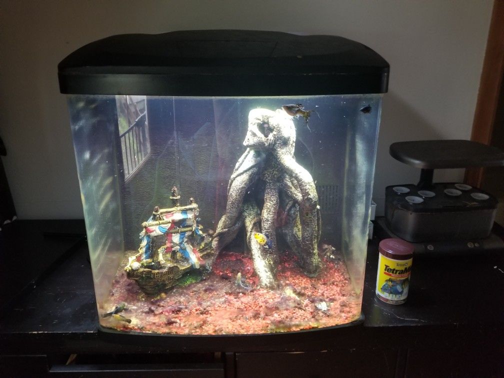 Biocube 32 Gallon Fish Tank for Sale in Fall City, WA - OfferUp