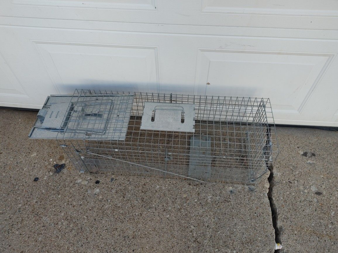 Twin, Full, Queen & king Bed Frames, Animal Trap Cage, Aquarium, Carpet ...