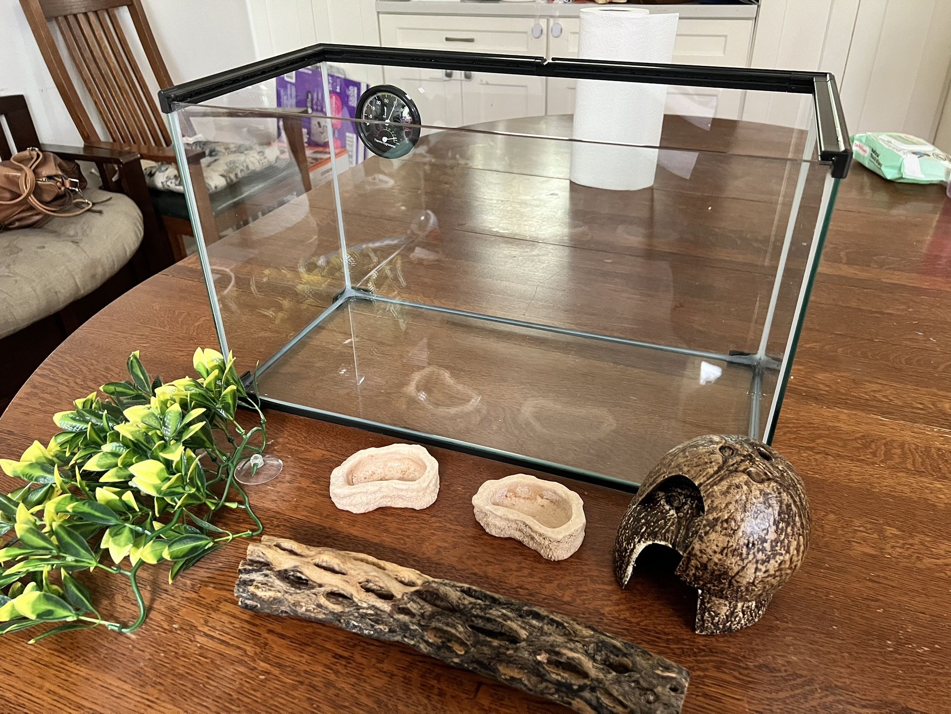 Thrive reptile terrarium Let’s Go for Sale in Puyallup, WA - OfferUp